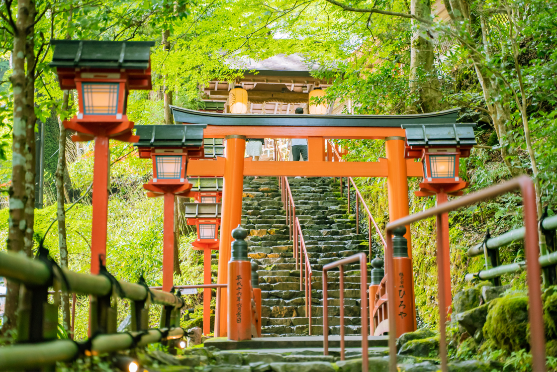 How to Plan the Perfect Japan Trip