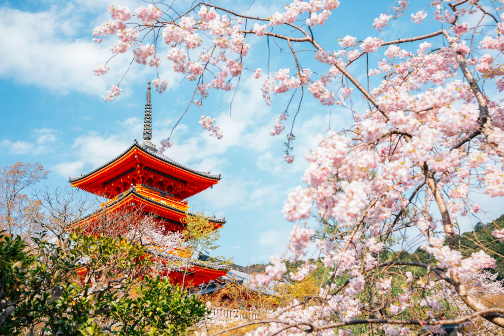 Kyoto in April: Cherry Blossoms and Mild Weather - Japan Local Guide