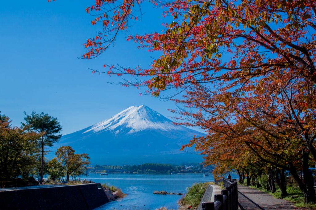 Stay in Peace at the Scenic Fuji View Hotel